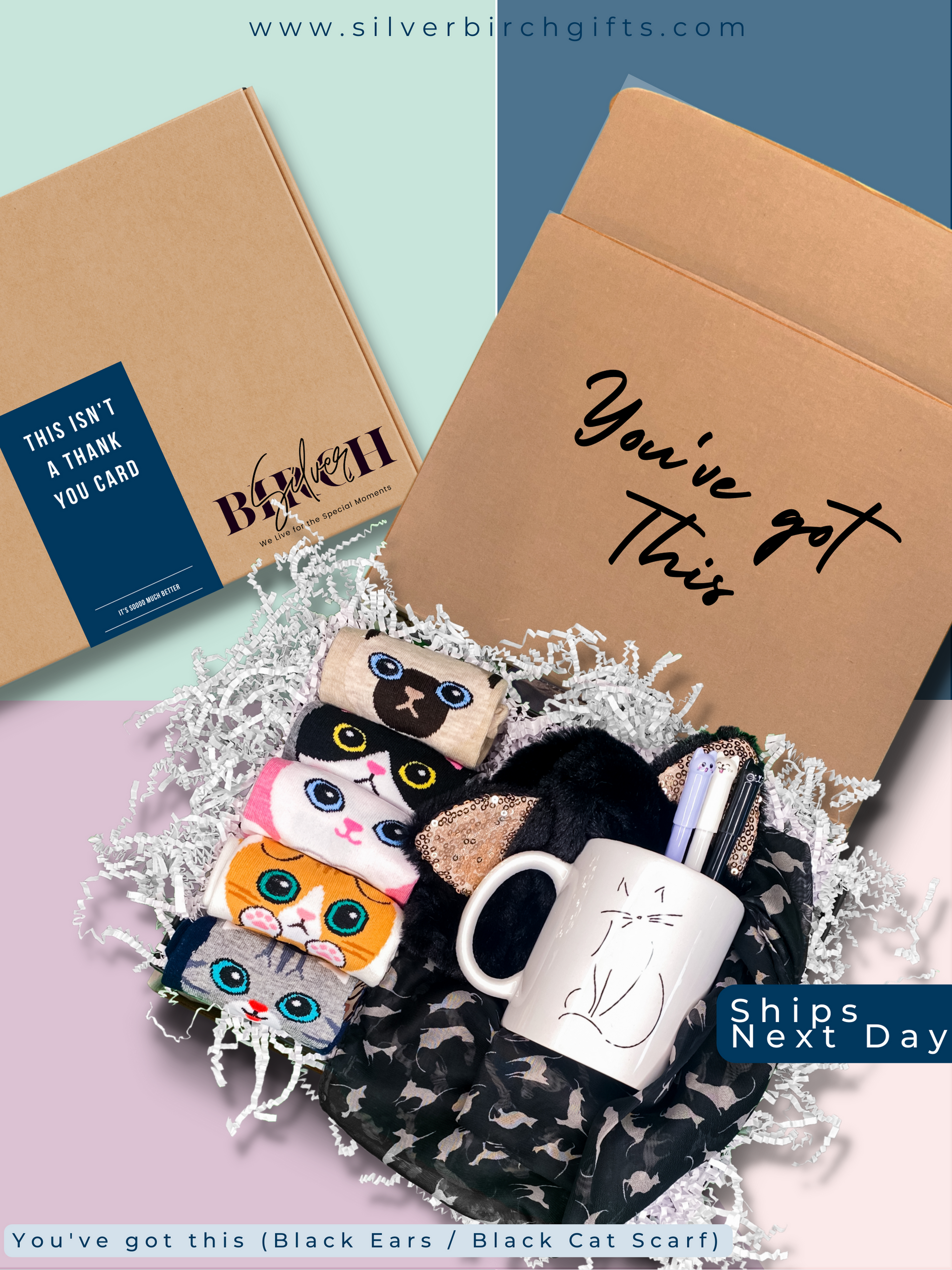 Cat Lover Gift Bundle | Cozy Socks, Mug & Fun Cat Accessories – Silver ...